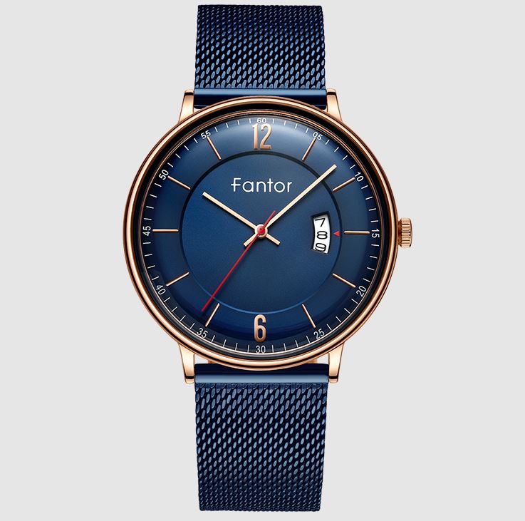 Fantor Minimalist Mesh Steel Quartz Men's watch| WF1024G03